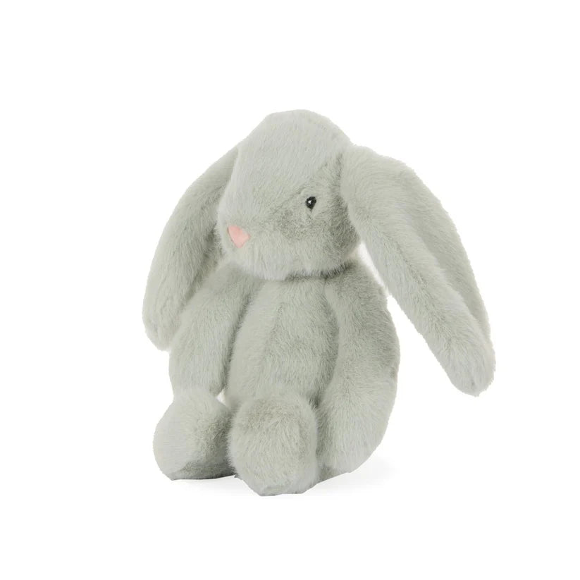 Jasper Bunny | Sprout